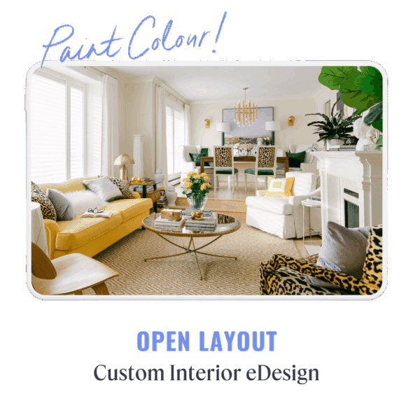 Open Layout Paint Colour Consultation with Maria Killam