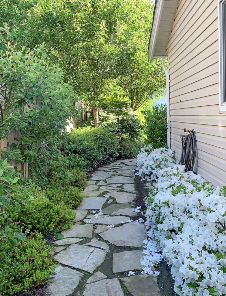 A Colour Expert with an All-White Garden? - White