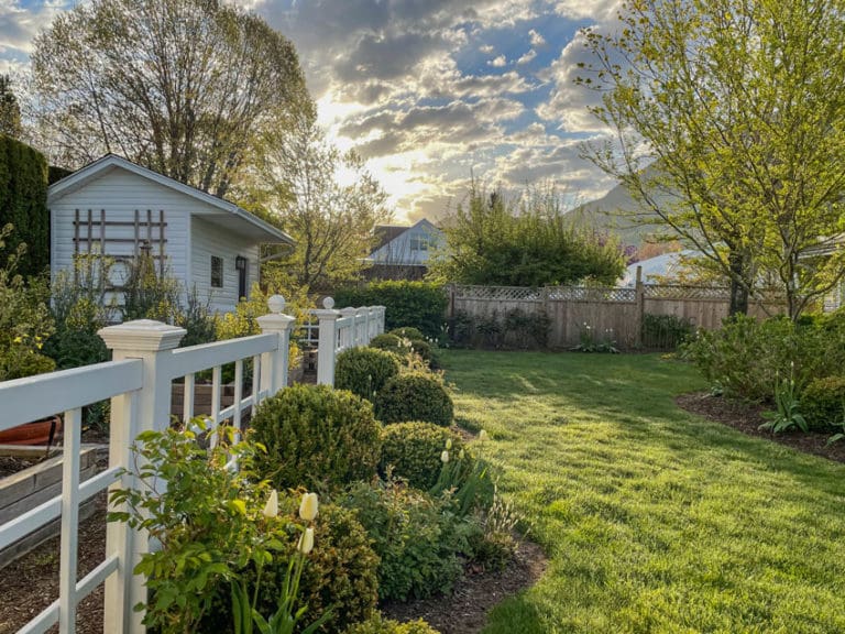 A Colour Expert with an All-White Garden? - White