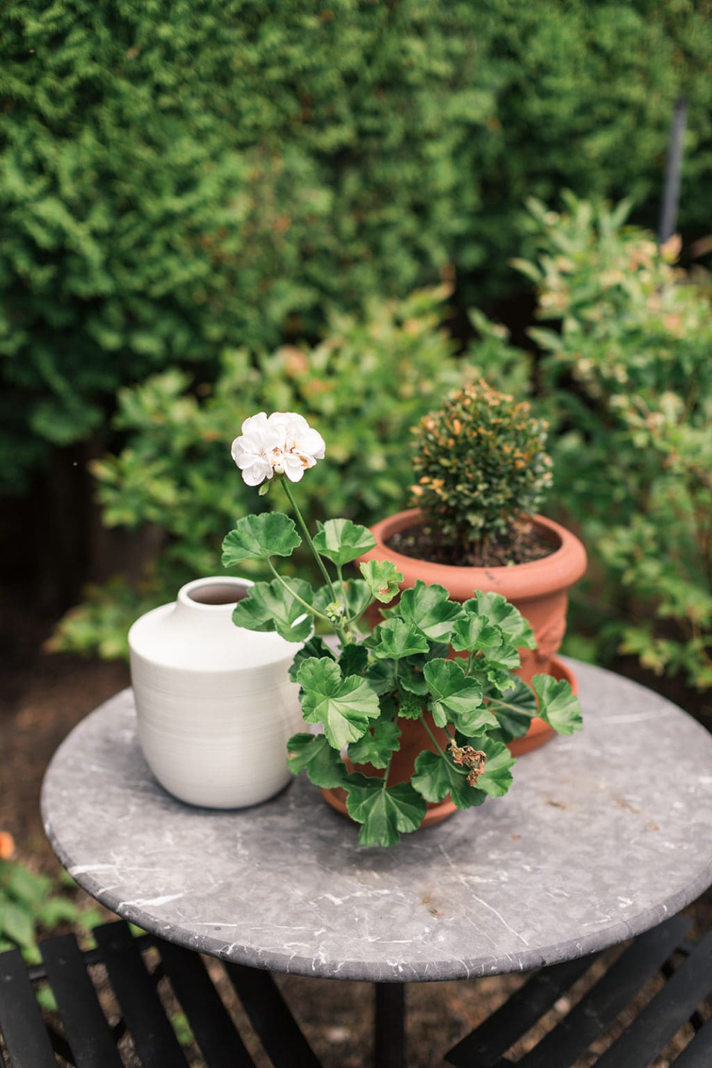 Maria's Garden - Maria Killam | Timeless Colour