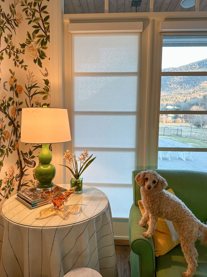 Dos & Don'ts: Window Treatments for Black Windows - Advice for Homeowners