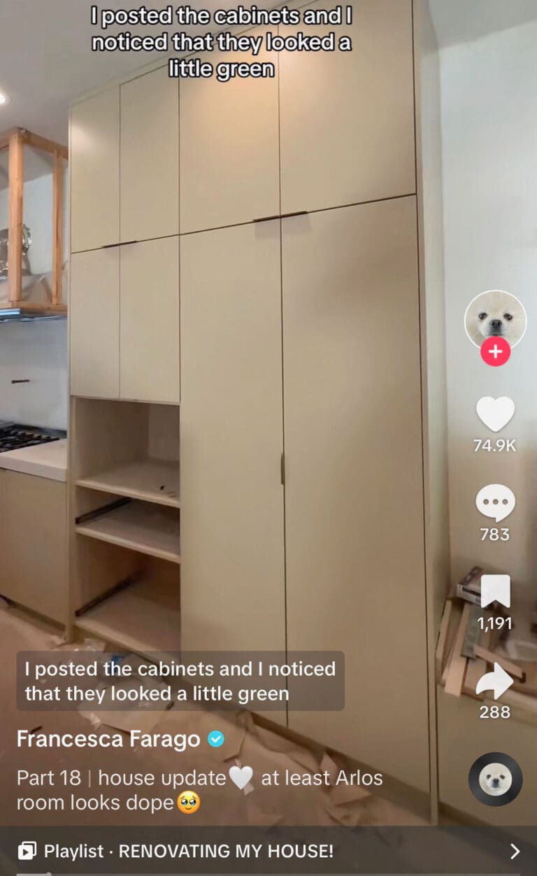 Why a Beige Kitchen is a Tricky Design Project - Beige