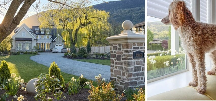 All My Best Exterior Advice - Exterior Colour